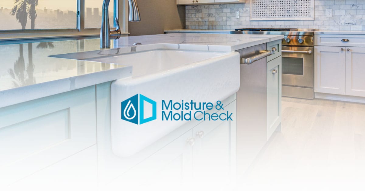Mold Inspections Los Angeles | Mold Check Los Angeles